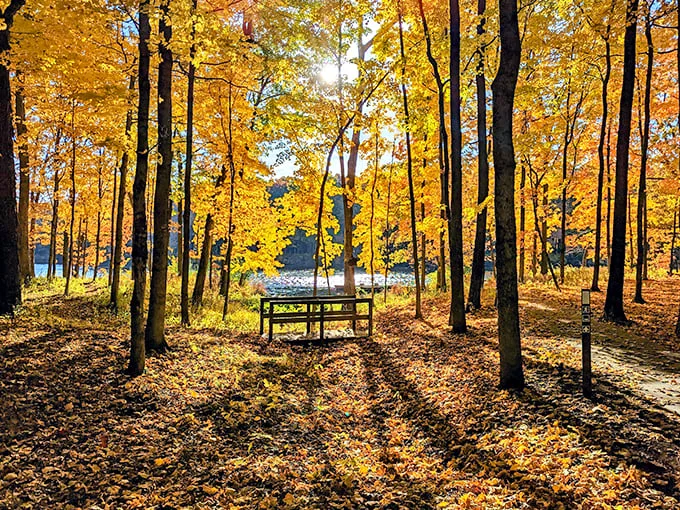 walnut point state park 1