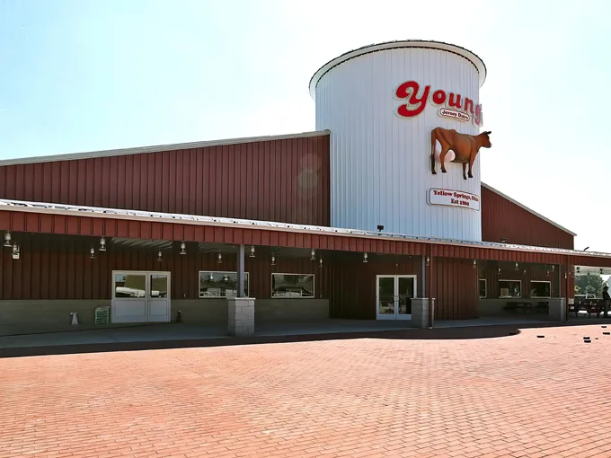 young's jersey dairy 1
