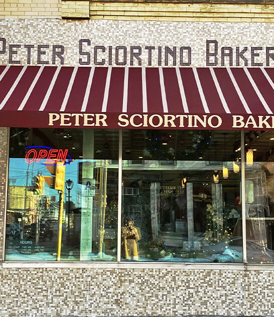 best italian cookies wisconsin ftr