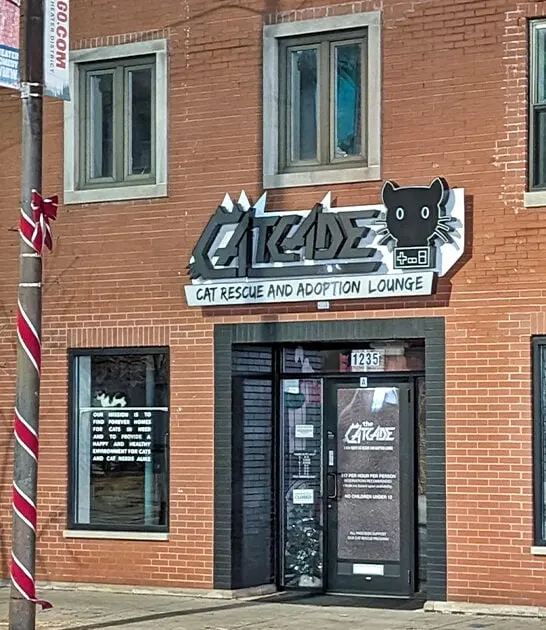 cat themed arcade illinois ftr