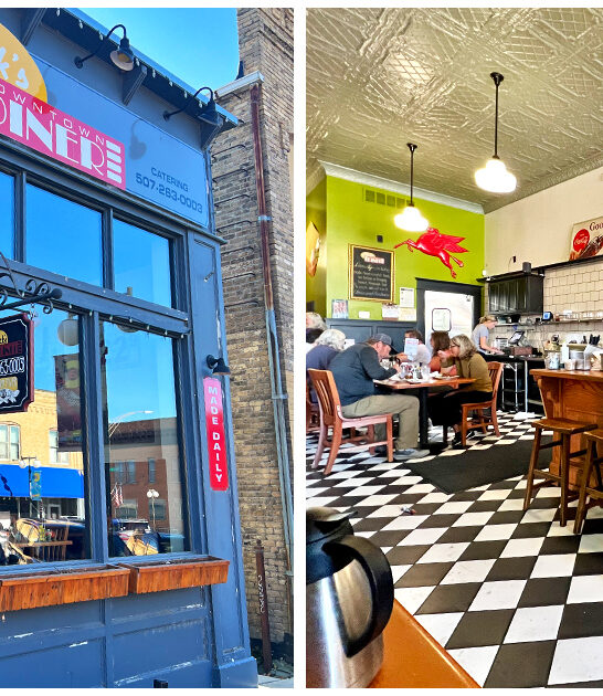 charming-little-diner-minnesota ftr