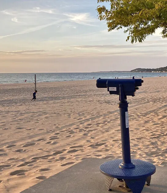 gorgeous family beach michigan ftr