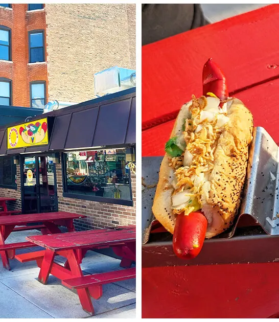 iconic chicago dogs illinois ftr