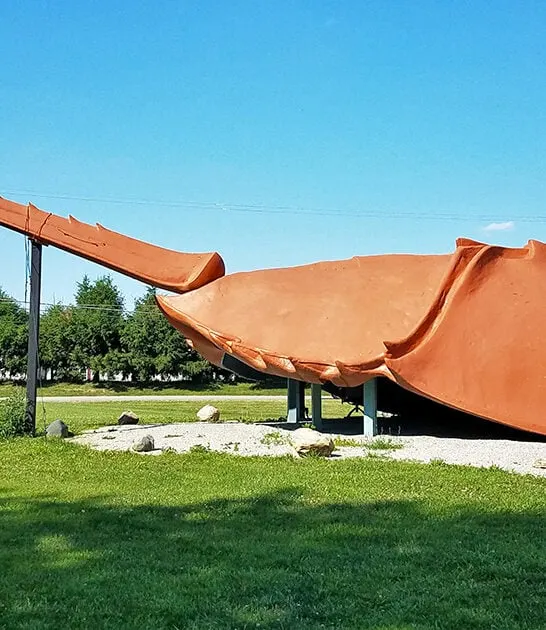 largest horseshoe crab ohio ftr