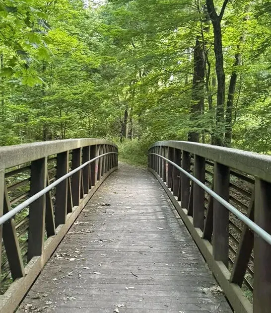 long forest hike illinois ftr
