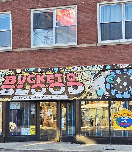 quirky record store illinois ftr