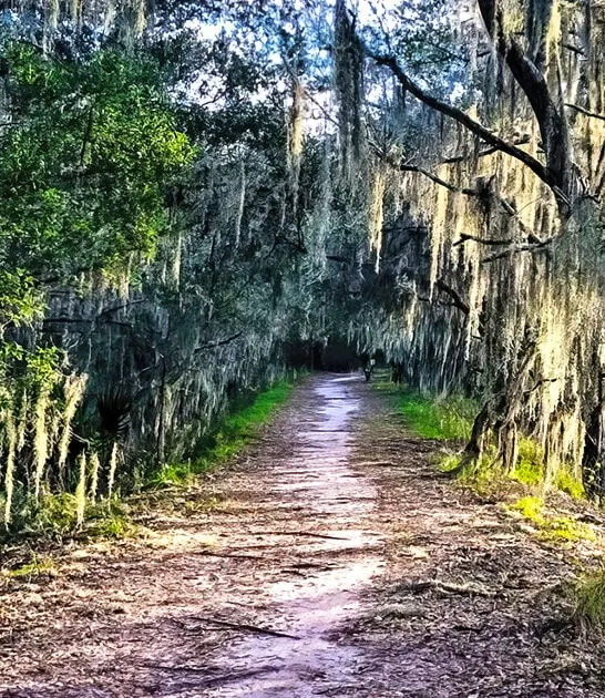 stunning nature preserve florida ftr