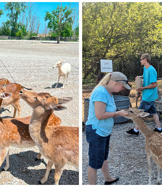 unique-ohio-petting-zoo ftr