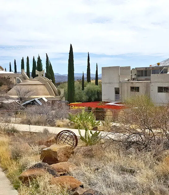 wonderfully bizarre town arizona ftr