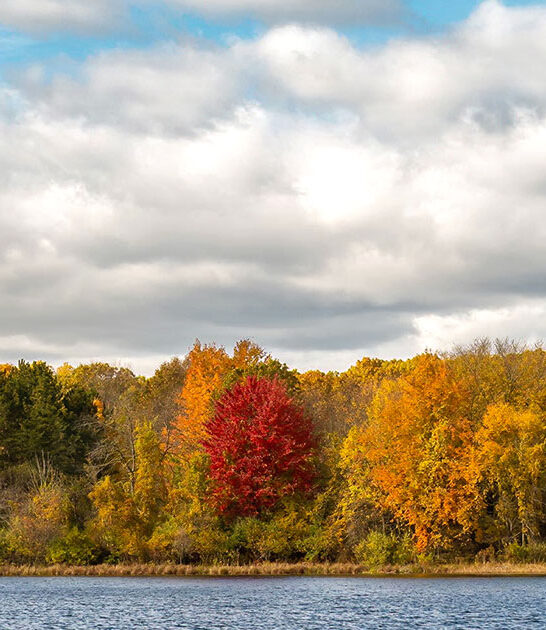 1434 acre park michigan ftr