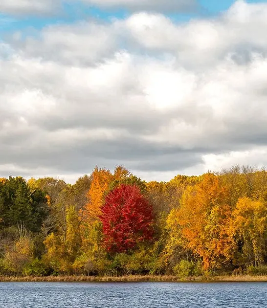 1434 acre park michigan ftr