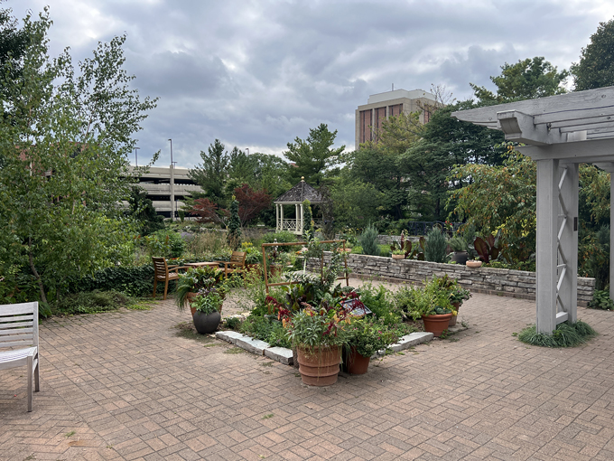 allen centennial garden 4