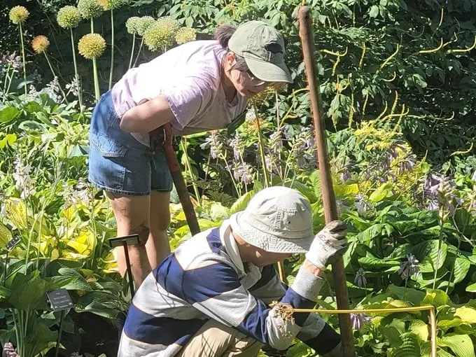 allen centennial garden 9