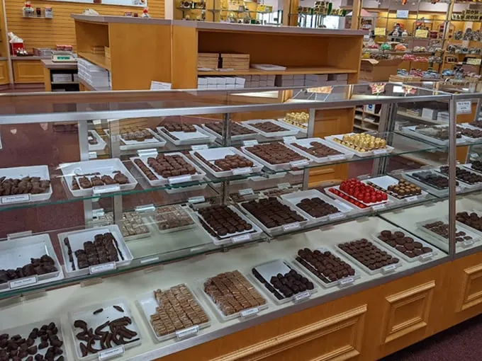 anthony thomas candy company 4