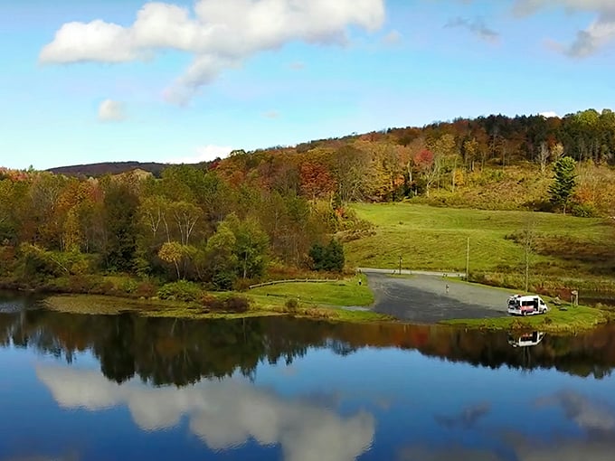 baker pond 1