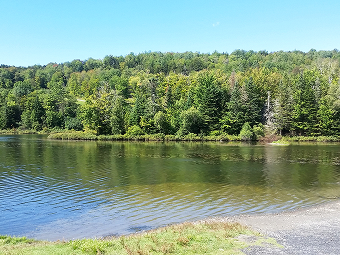 baker pond 3