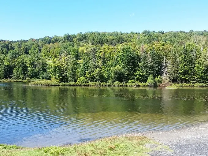 baker pond 3