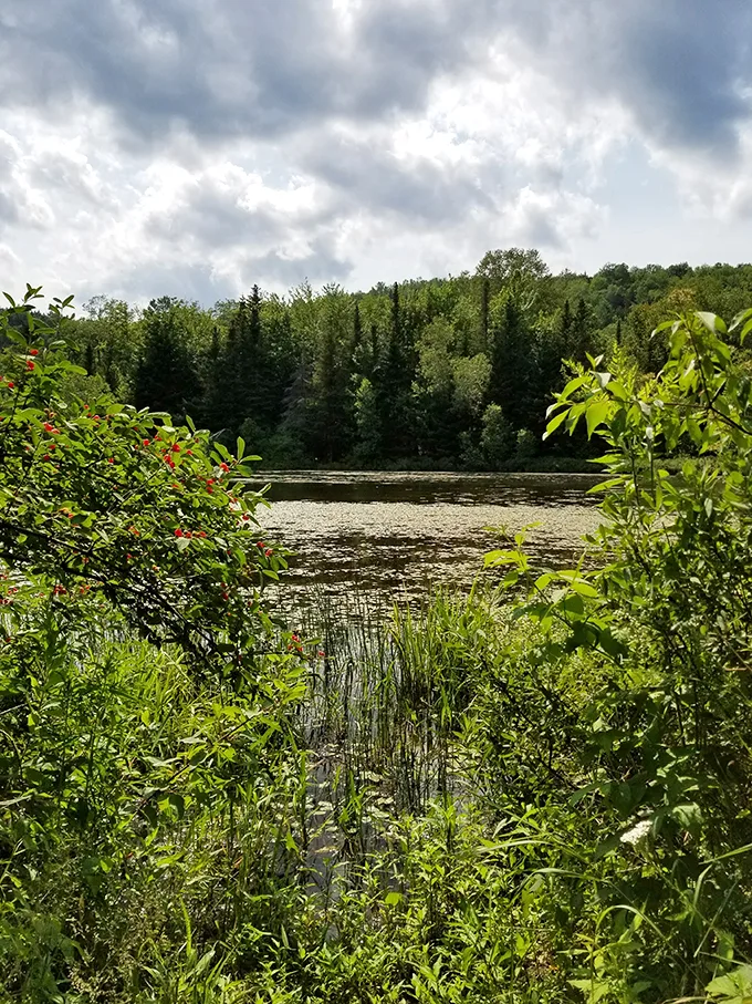 baker pond 4
