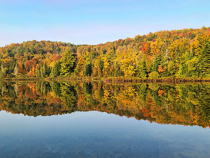 baker pond 5