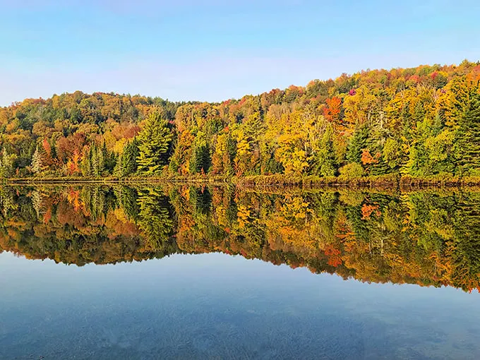 baker pond 5