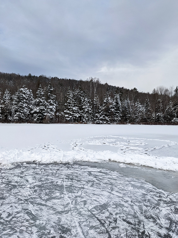 baker pond 8