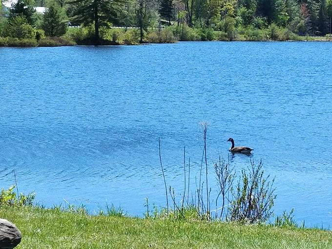 baker pond 9