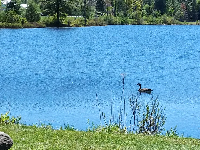 baker pond 9