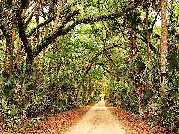 bulow plantation ruins historic state park 1
