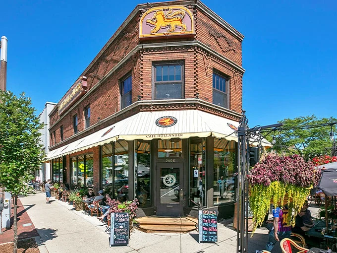 café hollander downer 1