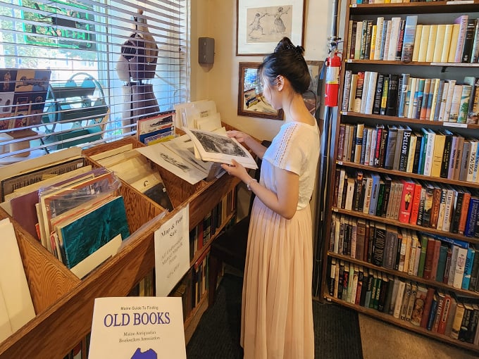carlson & turner antiquarian 8