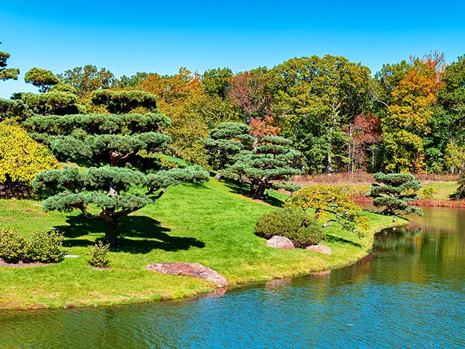 chicago botanic garden 1