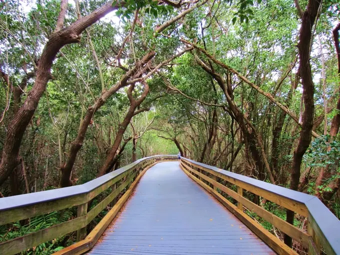 clam pass beach boardwalk 1