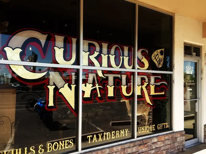 curious nature 1