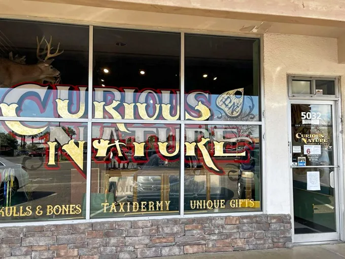 curious nature 1