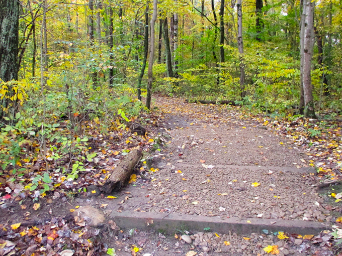 cuyahoga valley scenic railroad 6