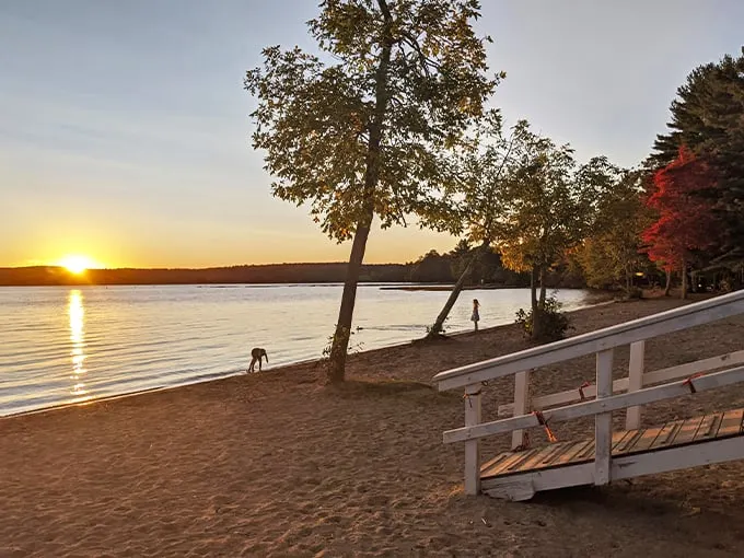 damariscotta lake state park 1