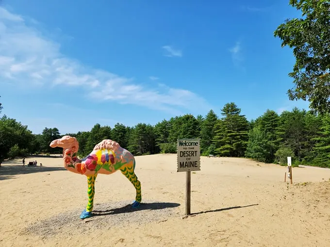 desert of maine 1