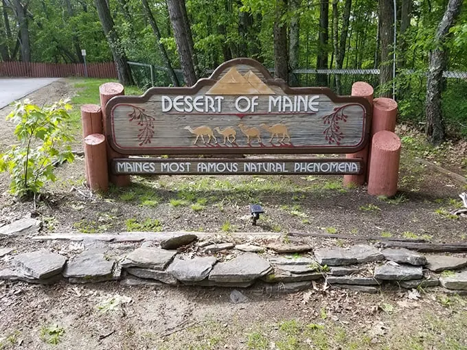 desert of maine 3