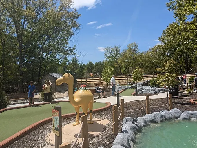 desert of maine 8