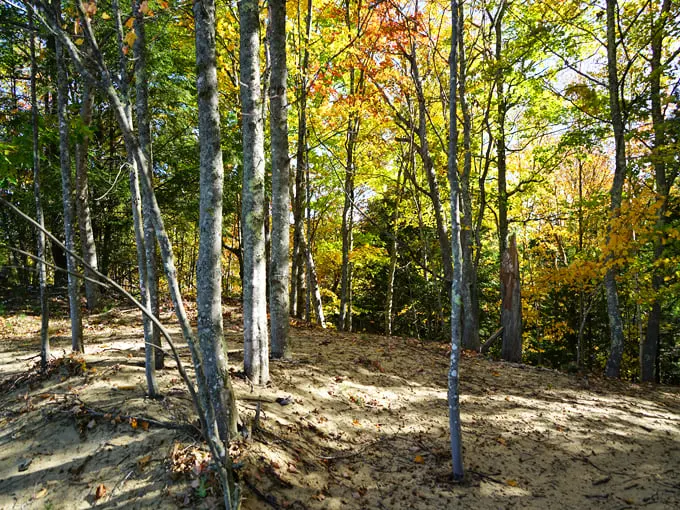 desert of maine 9