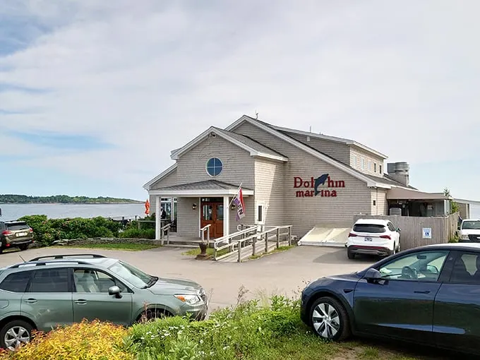 dolphin marina & restaurant 1