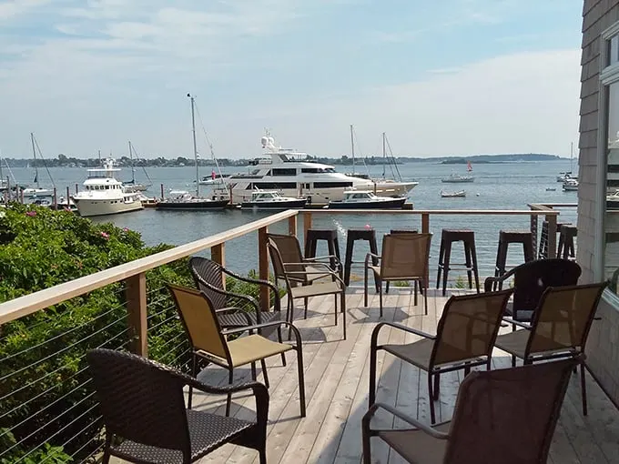 dolphin marina & restaurant 2