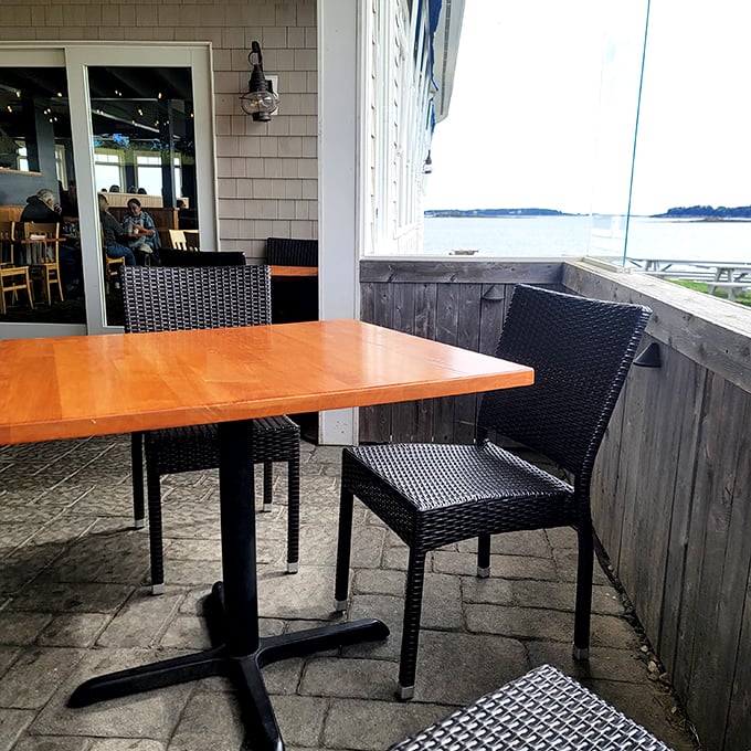 dolphin marina & restaurant 6