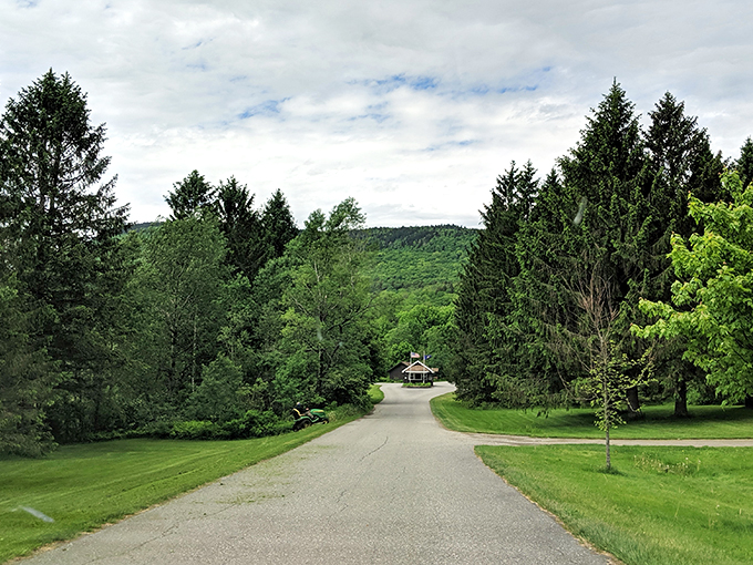 elmore state park 3