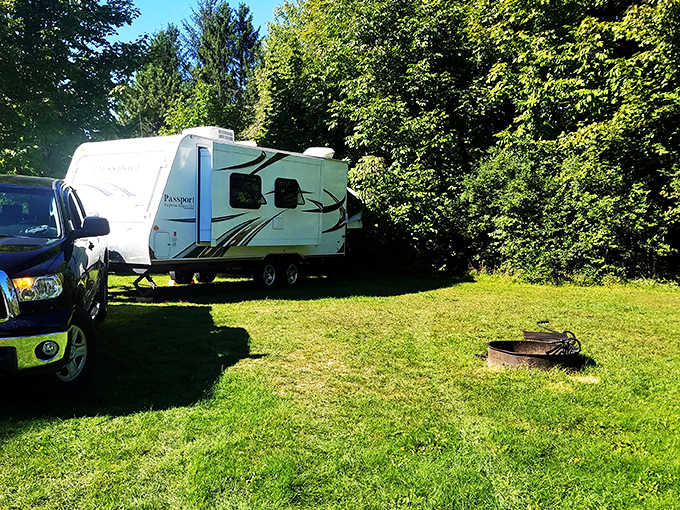 elmore state park 8