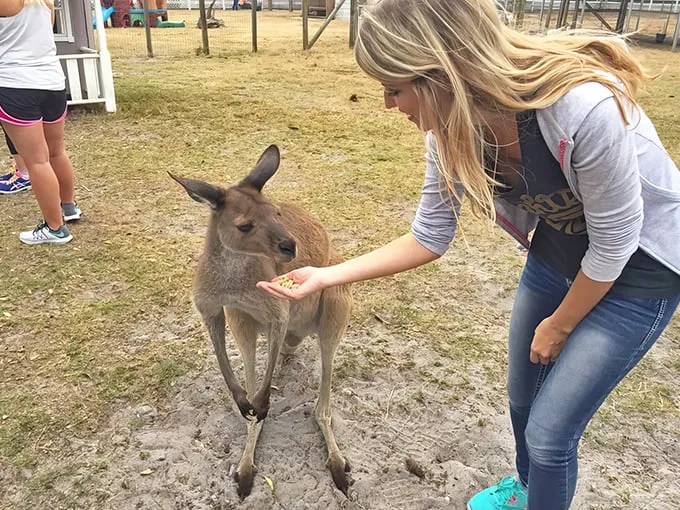 exotic animal experience 1
