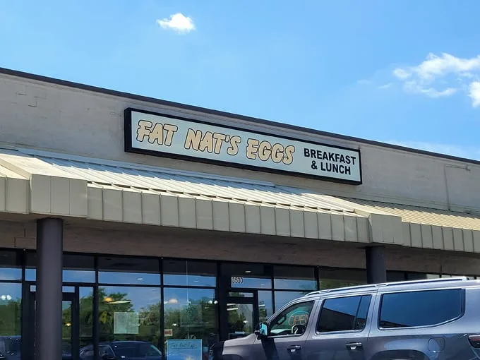 fat nat's eggs new hope 1