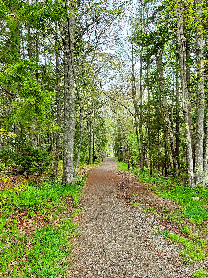 fort baldwin state historic site 5