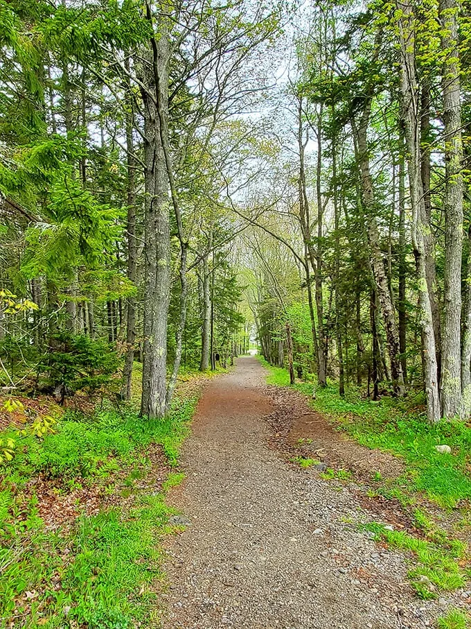 fort baldwin state historic site 5