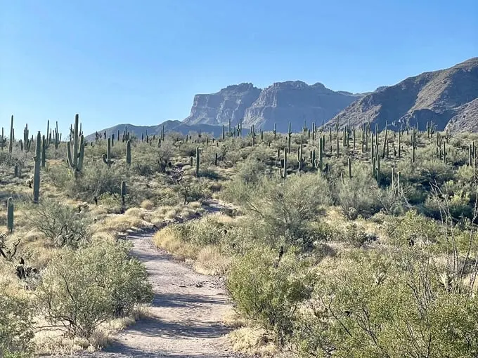 hieroglyphic trail 1